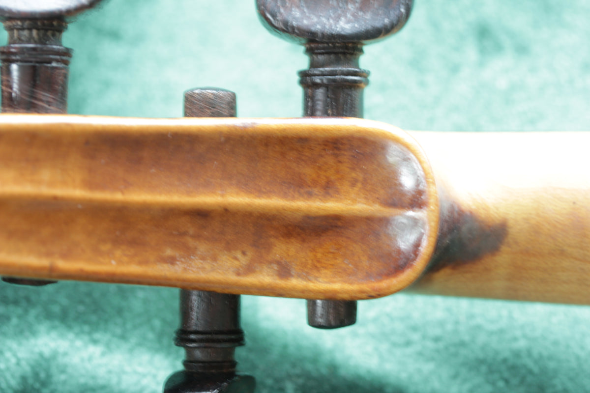 €500 to €1000 violins – Lyons Violins